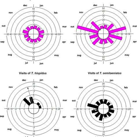 Circular Histograms Of Fruiting Phenology And Visits Of Melocactus