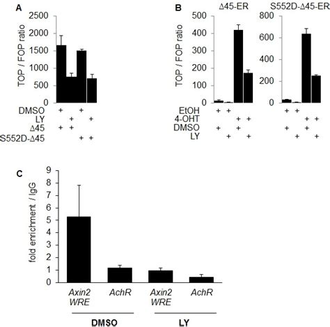 A Top Flash Luciferase Reporter Assay Of 293t Cells Transiently