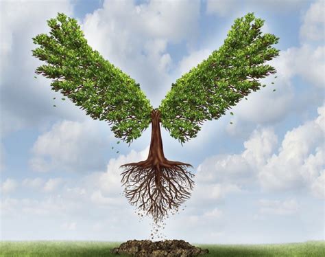 Schoolleadership Schoolboards Strategicplanning Strategicthinking Stephen Codrington