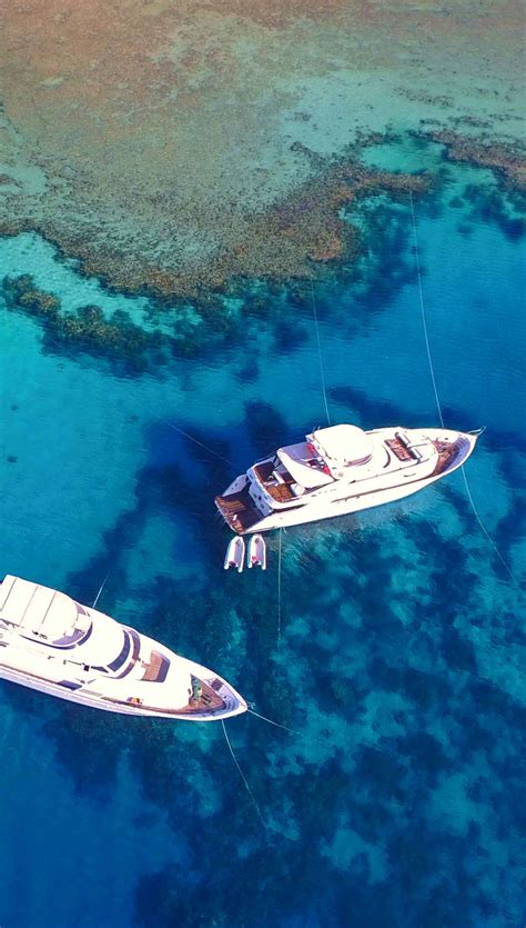 Palau Diving Guide When To Visit For Sharks Mantas And Wrecks