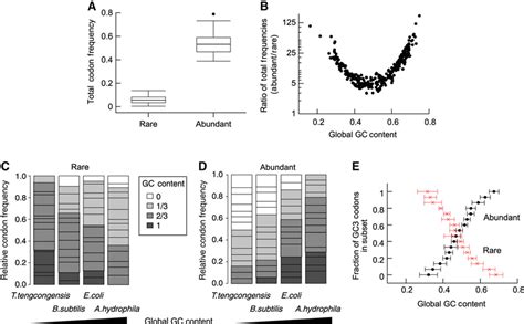 Rare And Abundant Codons A Rare And Abundant Codons Were Defined For Download Scientific