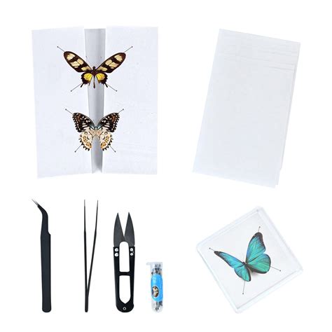 14 Pieces Making Insect Specimen Tools Kit Insect Pins 8 Sheets Thin