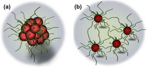 Schematic Drawing Of The A Condensed Colloidal Nanocrystal Cluster
