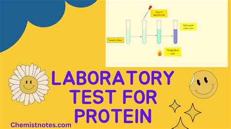 Laboratory Test For Protein 7 Easy Protocol Chemistry Notes