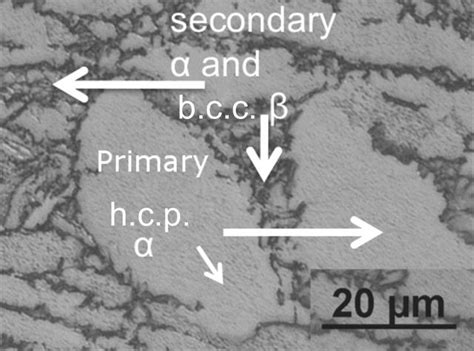 Iucr Peak Broadening Anisotropy In Deformed Face Centred Cubic And Hexagonal Close Packed Alloys