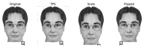 A Sample Of Different Augmentation Techniques Download Scientific