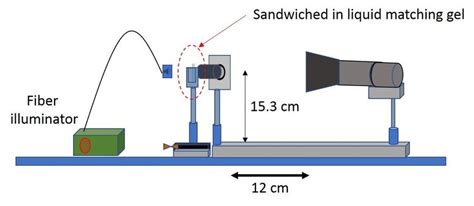 Modified Fiber Core Imaging Technique For Fbg Fabrication Download Scientific Diagram