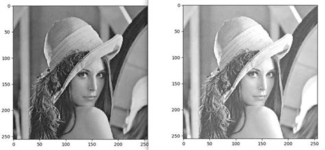 Point Operations In Image Processing With Skimage Python