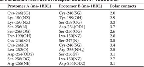 Table 3 From Crystal Structure Of The M4 1bb4 1bbl Complex Reveals An