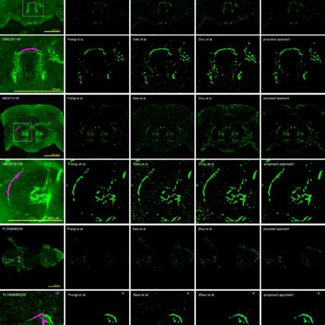 comparison of enhancement results for three different images where the