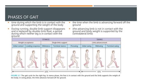 Gait Analysispptx
