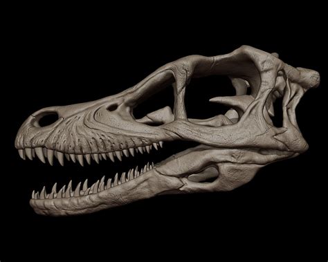 Velociraptor Skull 3d Print Model 3d Model 3d Printable Cgtrader