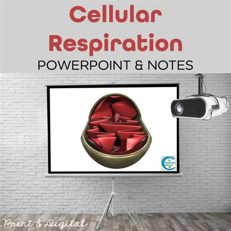 Free Printable Codon Chart With Practice Worksheet And Diagrams