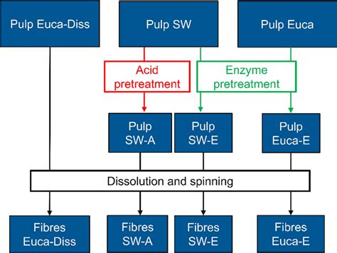 Processing Scheme From Wood Pulps To Regenerated Fibres Dissolving