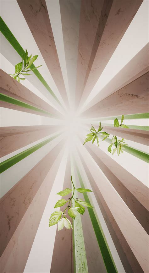 Cultural Cohesion → Term