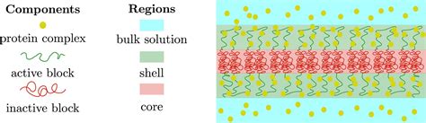 Figures And Data In Regulation Of Chromatin Microphase Separation By