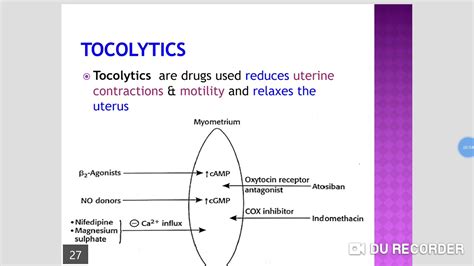 Drugs Acting On Uterustocolytics Inhibits Uterine Contractions