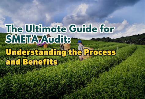 The Ultimate Guide For Smeta Audit Understanding The Process And Benefits