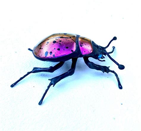 Pink Beetle Insect