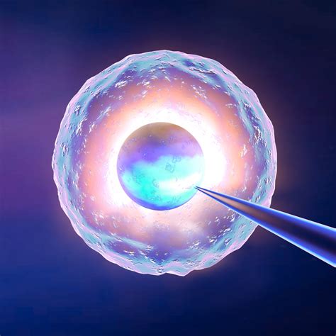 Stem Cell Therapy Gmtpgr