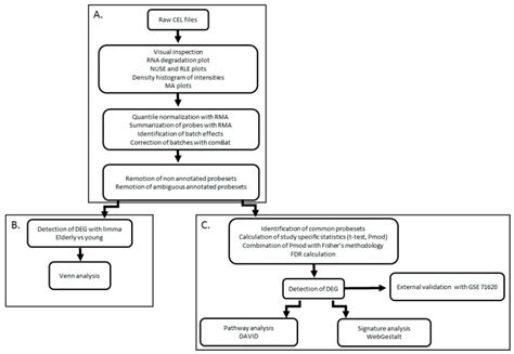 Integrative Analysis Of Global Gene Expression Identifies Opposite