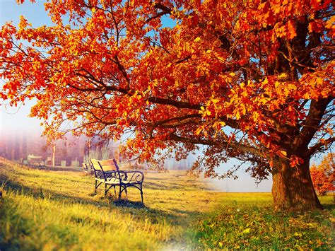 High Quality Nature Wallpapers Free Download Group 87