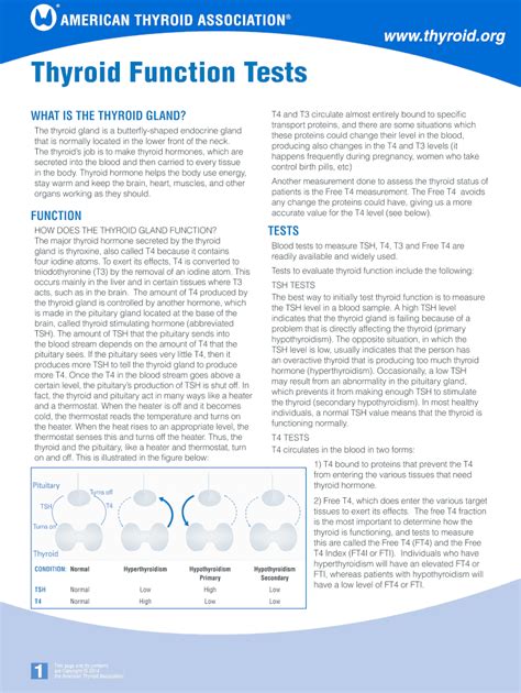 Fillable Online Thyroid Function Tests Fax Email Print Pdffiller