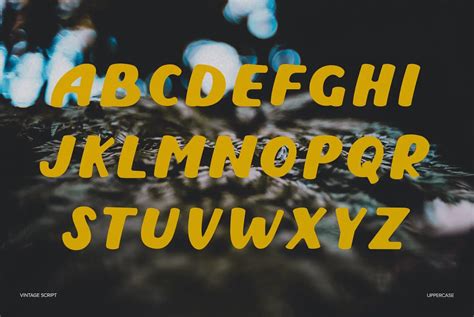 Vintage Script Font Youworkforthem