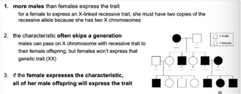 Lecture 13 Flashcards Quizlet