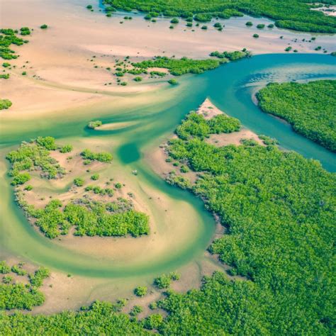 Tide Dominated Delta Seamap Australia