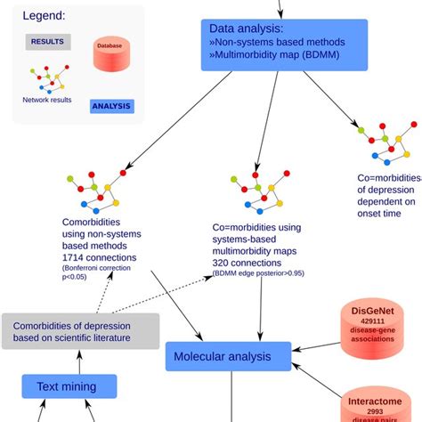 workflow of the evaluation the analysed databases and applied