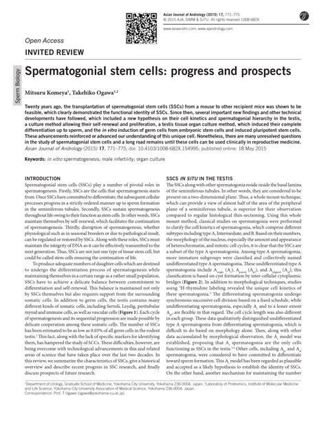 Pdf Spermatogonial Stem Cells Progress And Prospects