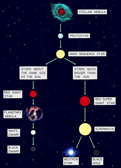 Life Cycle Of A Massive Star Massive Star Life Cycle Timeline Sutori