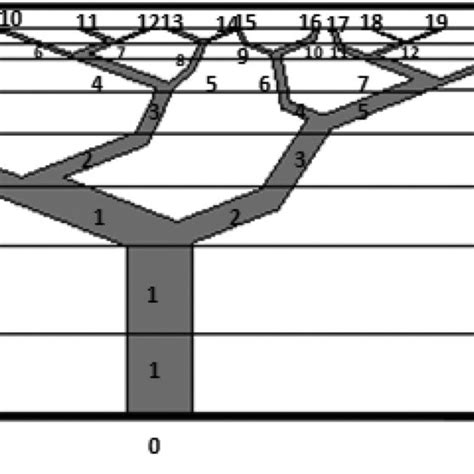 Number Of Branches Follows Fibonacci Pattern Download Scientific Diagram Number Of Branches Follows Fibonacci Pattern Download Scientific Diagram