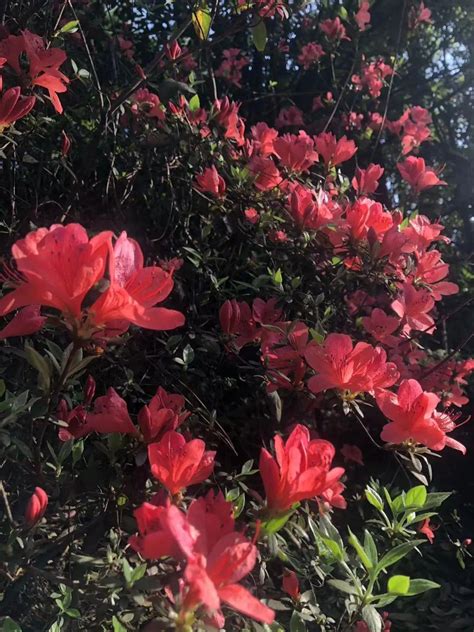 947陈博：双减为何减不下来 知乎