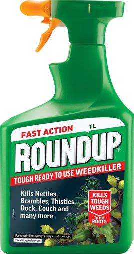 Roundup Tree Stump And Rootkiller Concentrate 250ml Roundup Tree Stump