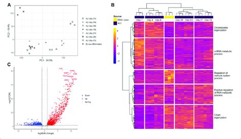 Transcriptome Analysis Of Ex Vivo Nasal Epithelial Cells And In Vitro