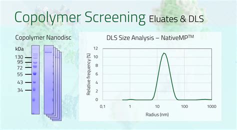 Abca4 Active Native Full Length Cube Biotech