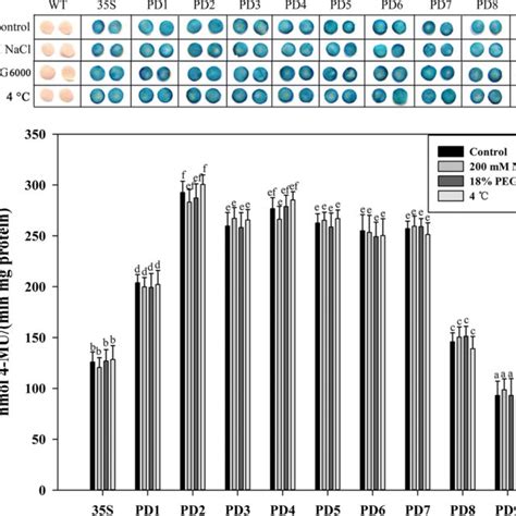 Prion Replication In Host Tissue By Prion Protein Directs The