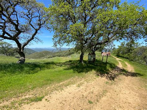 Section Hiking The Condor Trail Cuesta Pass On The 101 To Adobe Th On