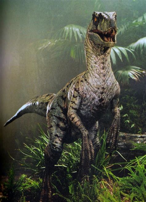 Jurassic Park 3 Female Velociraptor Know Your Meme