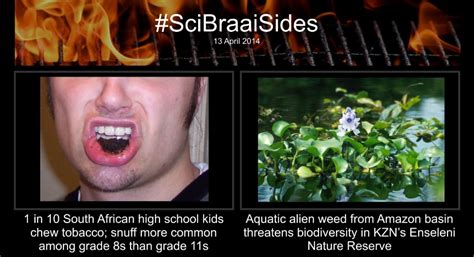 The Science Of What Doom Bug Spray Does To Humans Scibraai