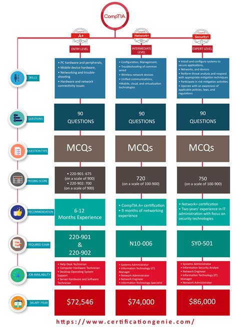 Comptia A Vs Ccna Art And Bussines