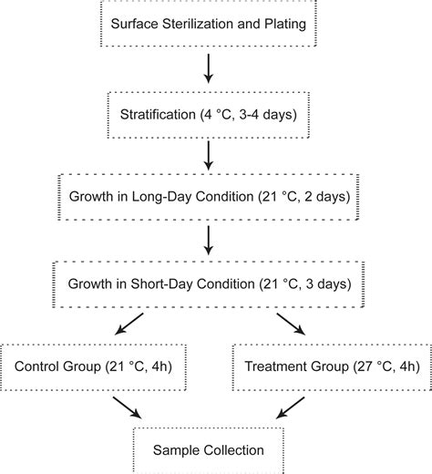 Cell Press Star Protocols