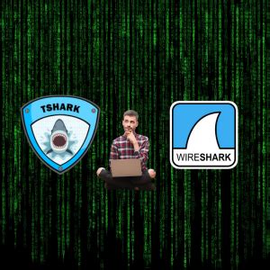 Packet Analysis Locked Dorr Security