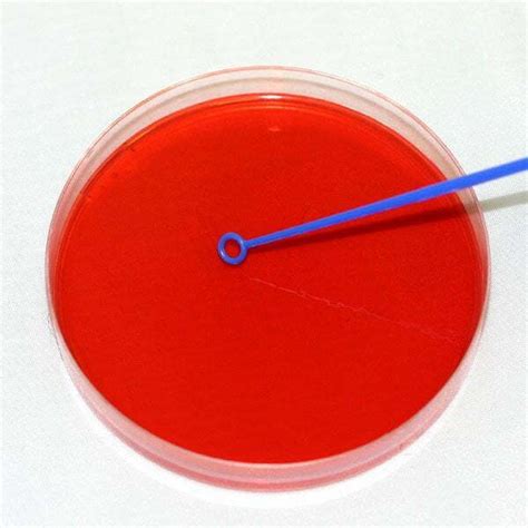 Inoculation Loops 10ul 200mm Aseptic 1000 Labtek Services Ltd