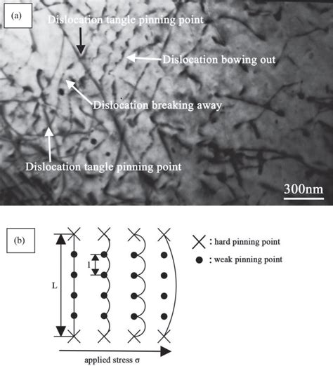 A Tem Diagram Showing Dislocation Bowing Out And Breakaway In Az31b