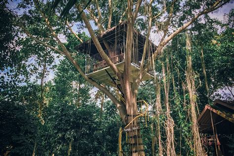 Rekreasi Taman Botani Jember Harga Tiket Dan Wahana Terbaru 2023