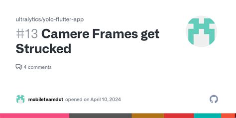 Camere Frames Get Strucked Issue Ultralytics Yolo Flutter App Github