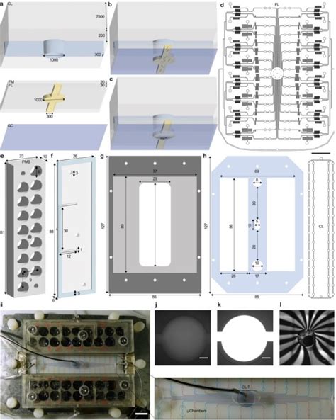 Advancing Tuberculosis Therapy With Microfluidic Technology